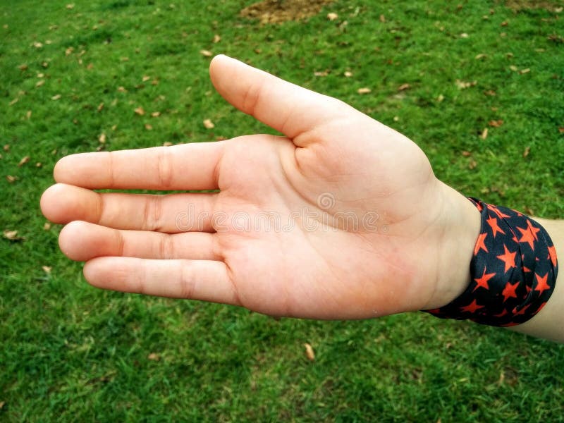 A girl hand stock image. Image of fortune, palm, young - 61478609