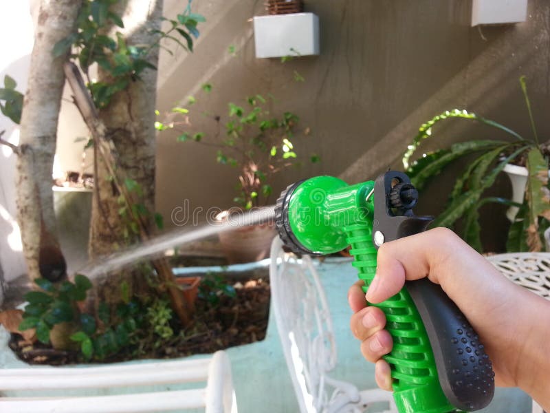 Girl hand watering stock photo. Image of girl, plant - 70996616