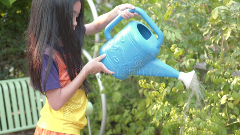 Girl Hand Watering with Tree in Garden Home. Stock Footage - Video of ...