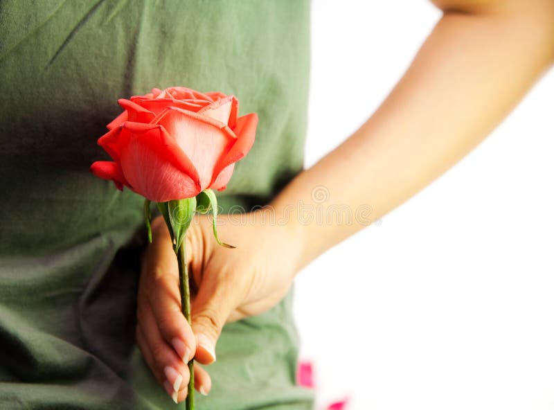 Girl Hiding Rose Flower Back Stock Photo - Image of flora, idea: 62850200