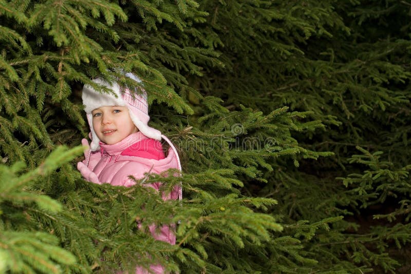 Girl Hiding in Tree Branches Stock Image - Image of branch, female: 1705091