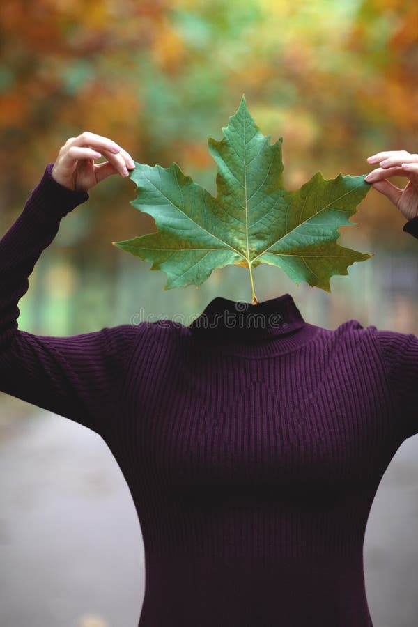 Maple Leaf instead of the Head. Stock Photo - Image of head, humor ...