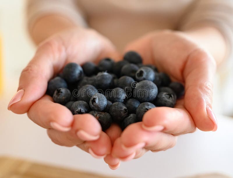 Girl holding blueberry stock image. Image of natural - 269406827