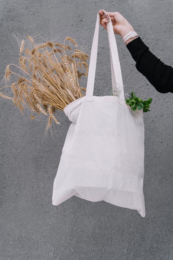 Girl Holding a Cloth Bag with Ears of Wheat Stock Photo - Image of ...
