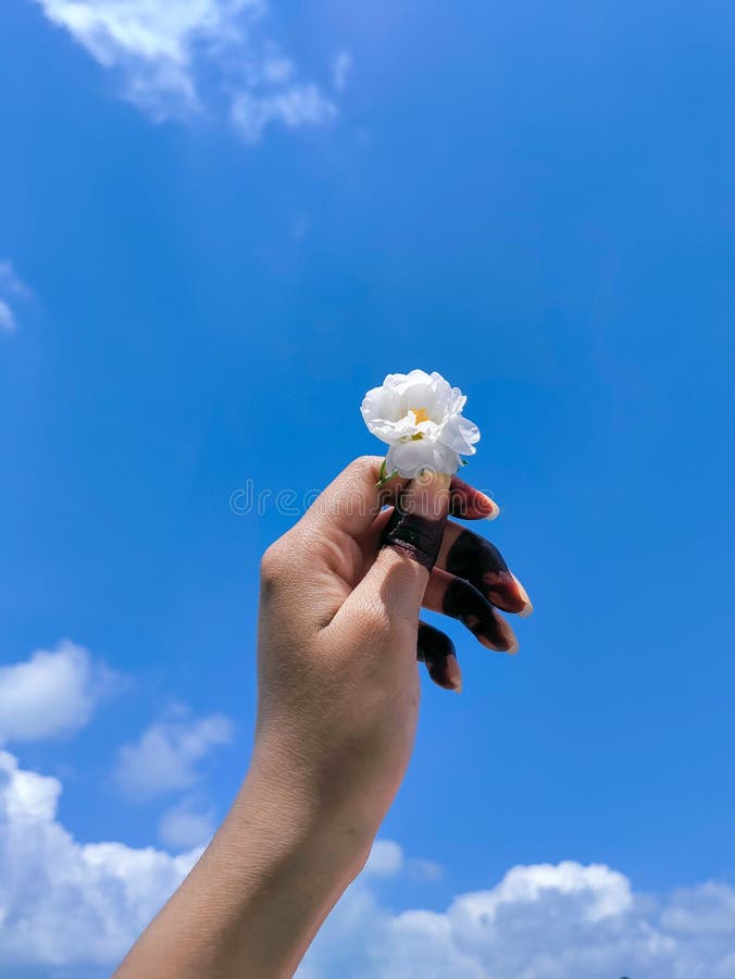A Girl Holding A Flower In Her Hand Towards Sky Stock Image Image Of