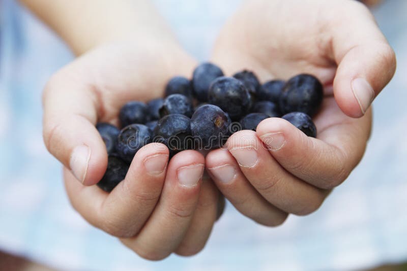 Girl Holding Handful of Blueberries Stock Photo - Image of food ...