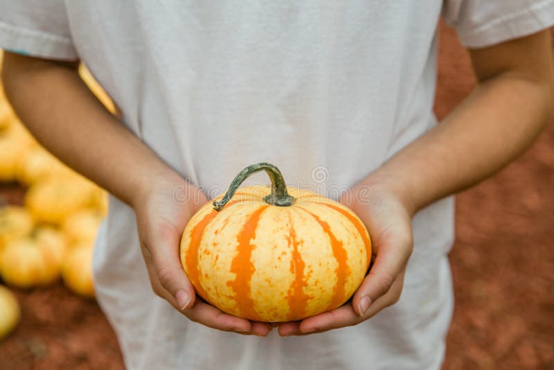 Girl Holding Medium Sized Bumpy Pumpkin Stock Photo - Image of ...