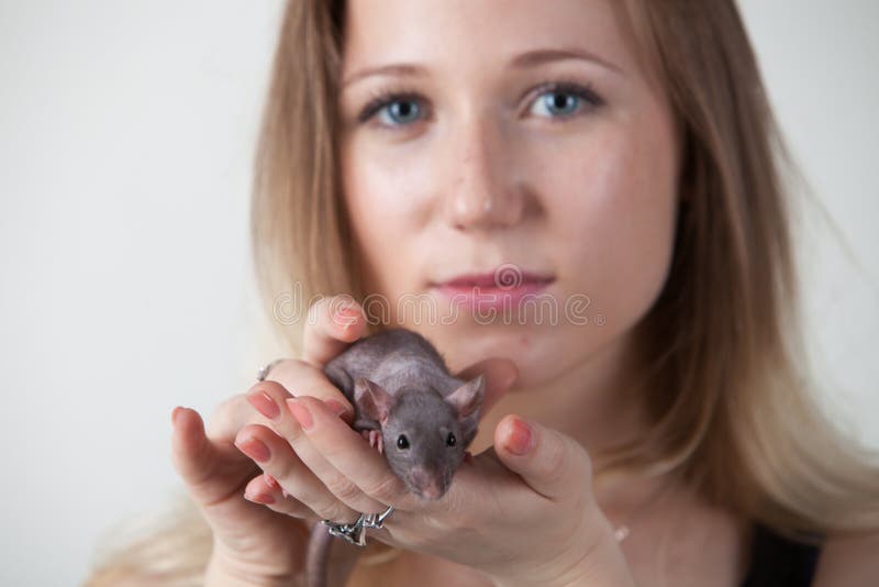 The Girl is Holding a Rat in Her Hands. the Rat Looks at the Camera ...