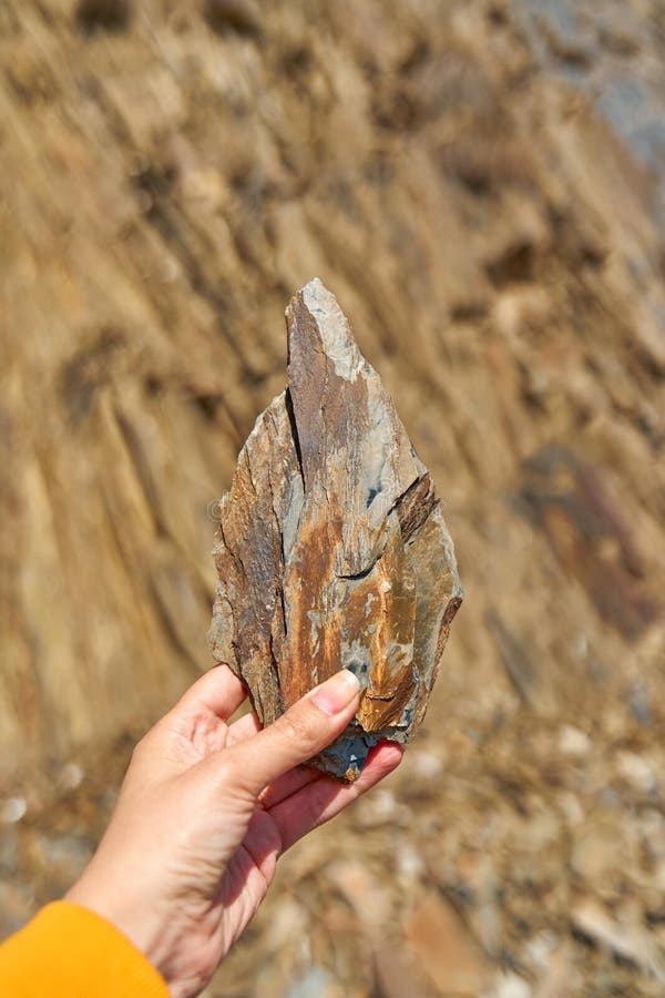 A Girl is Holding a Rock that Has Fallen Off a Rock. the Stone ...
