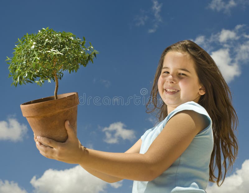 Girl holding small tree stock photo. Image of foliage - 10174674