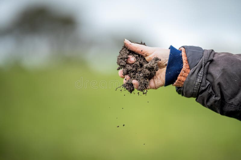 Girl Holding a Soil Sample on a Farm in Australia Stock Image - Image ...