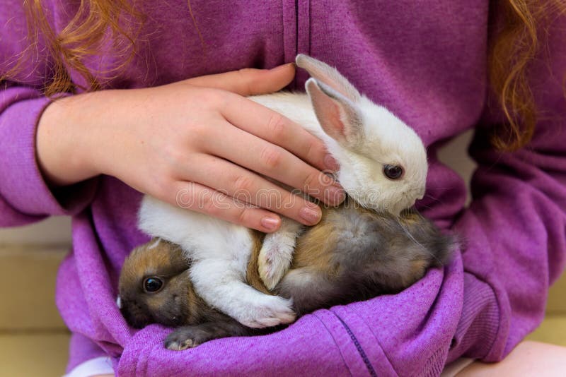 Girl Holding Two Pet Rabbits Stock Photo - Image of rabbits, easter ...