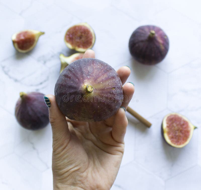 Girl Holds Ripe Figs in Hand Stock Photo - Image of holds, food: 156536806