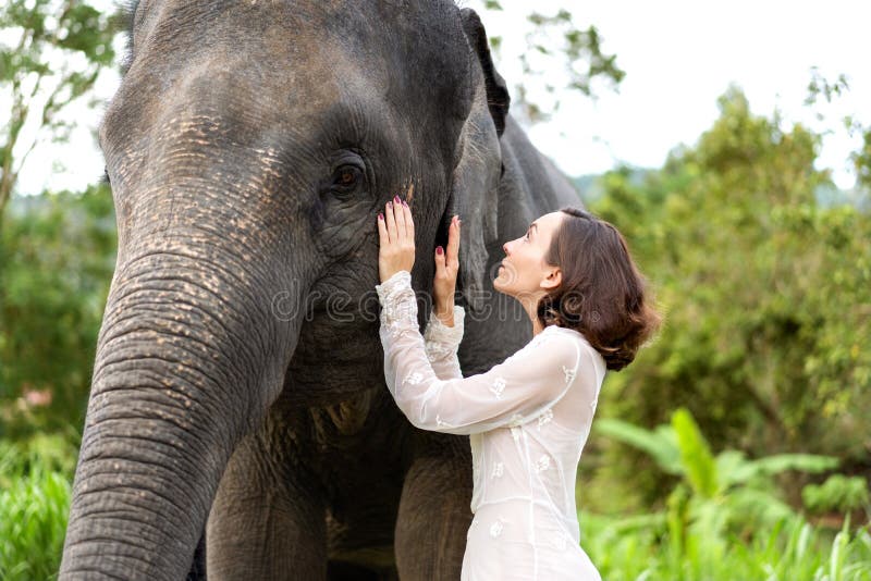 Girl Hugging an Elephant in the Jungle Stock Image - Image of ivory ...