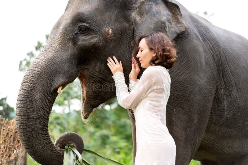 Girl Hugging an Elephant in the Jungle Stock Photo - Image of lifestyle ...