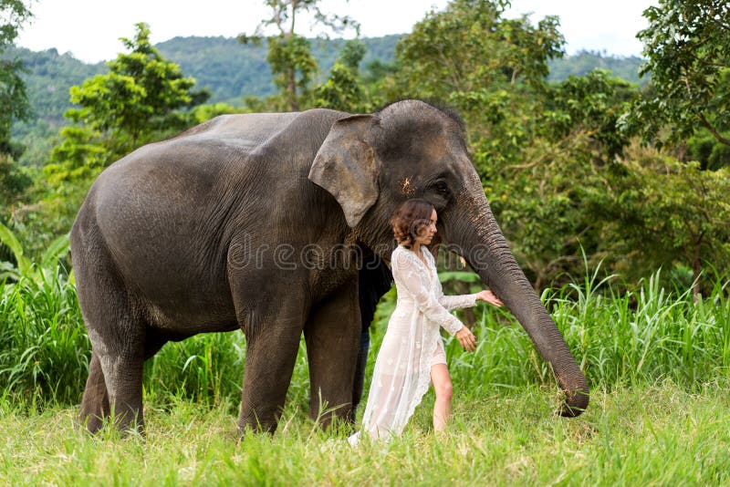 Girl Hugging an Elephant in the Jungle Stock Photo - Image of laos ...