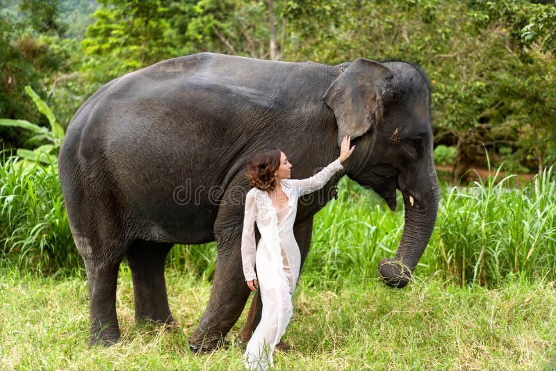 Girl Hugging an Elephant in the Jungle Stock Image - Image of asian ...