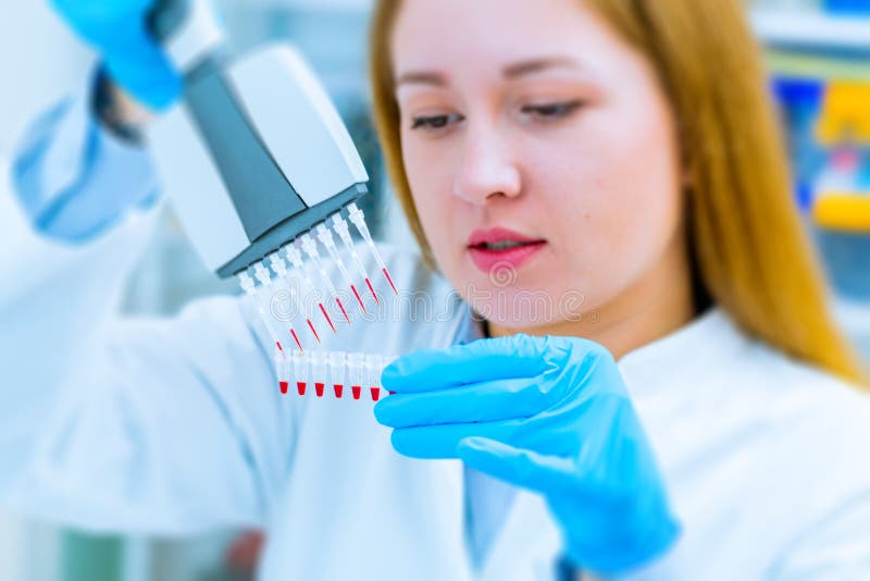 Technician in the Microbiology Stock Image - Image of person, pharmacy ...