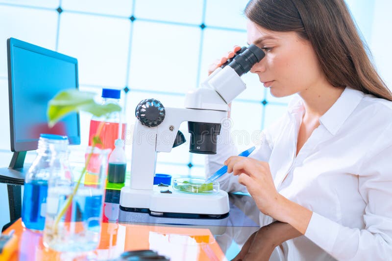 Girl Laboratory Assistant Examines a Green Plant Under a Microscope in ...