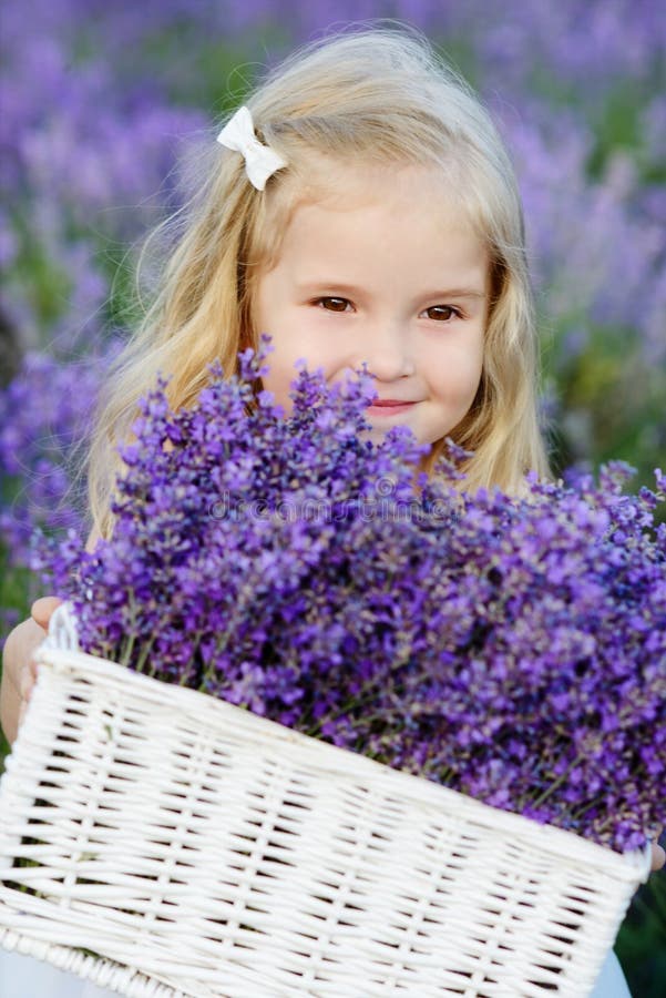 Girl with lavender stock image. Image of female, lavanda - 41682143