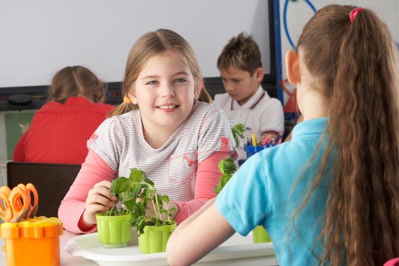 Girl Learning about Plants in School Class Stock Photo - Image of ...