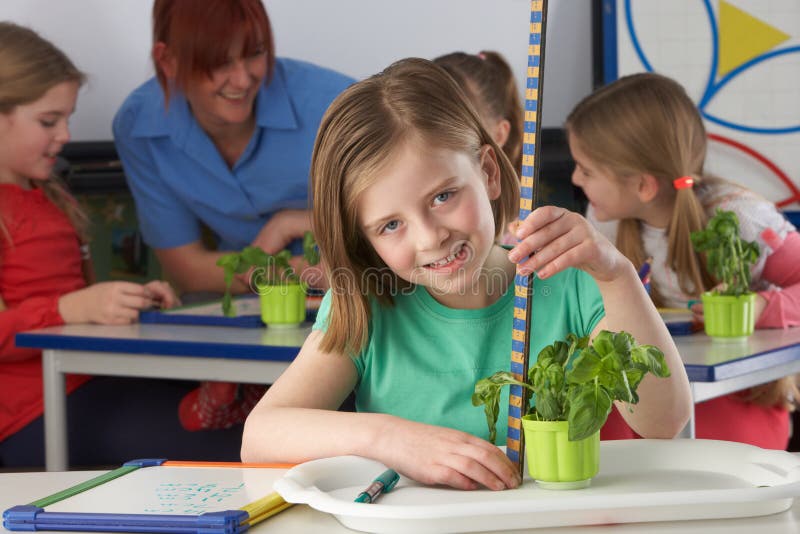 Girl Learning about Plants in School Class Stock Photo - Image of ...
