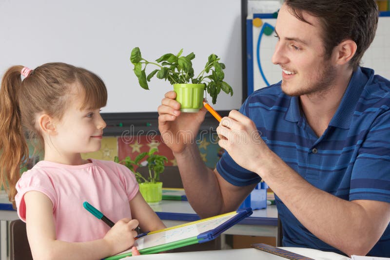 Girl Learning about Plants with Teacher Stock Image - Image of lesson ...