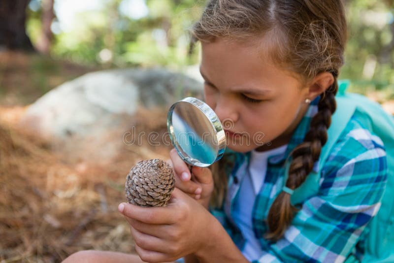 Girl Looking at Dry Pine Cone through Magnifying Glass Stock Image ...