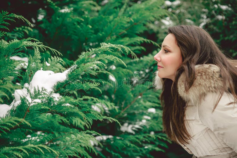 Girl looking at tree stock photo. Image of green, female - 48787730