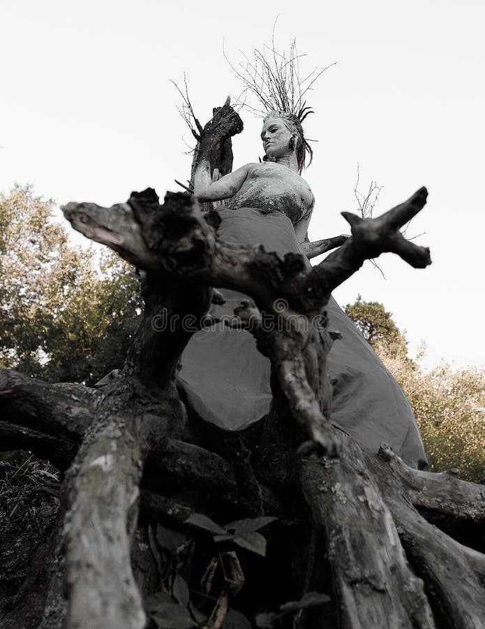 Girl Looks Like a Tree Creative Art Shooting in the Forest Stock Image ...