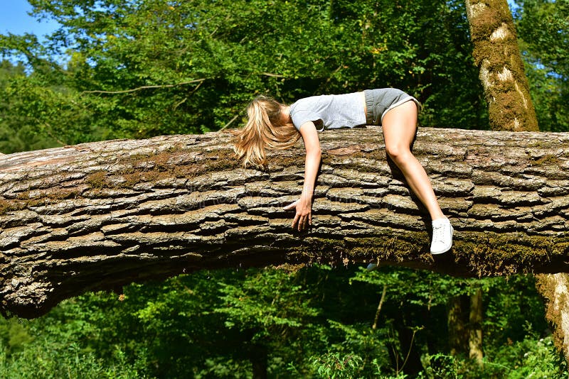 Girl lying on tree trunk stock image. Image of bark, teenage - 99840147