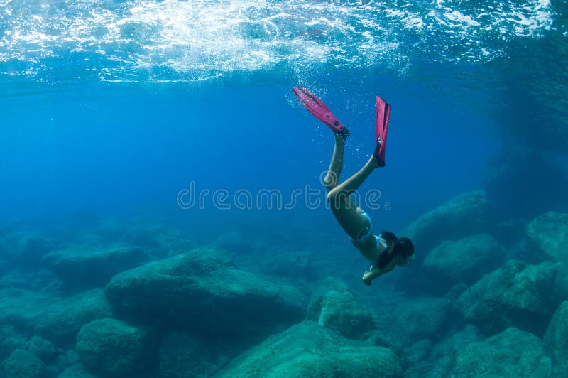Exploring underwater stock photo. Image of blue, underwater - 103409658
