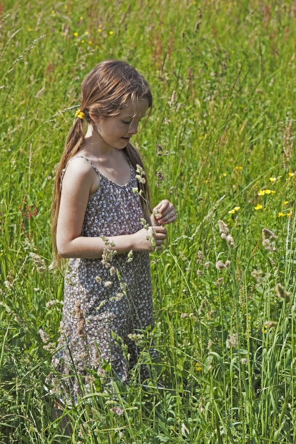 Girl on a meadow stock image. Image of youth, meadow - 20532831