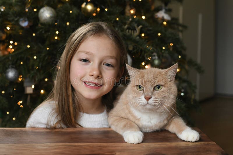 A Girl Near a Ginger Cat Near a Christmas Tree Stock Photo - Image of ...