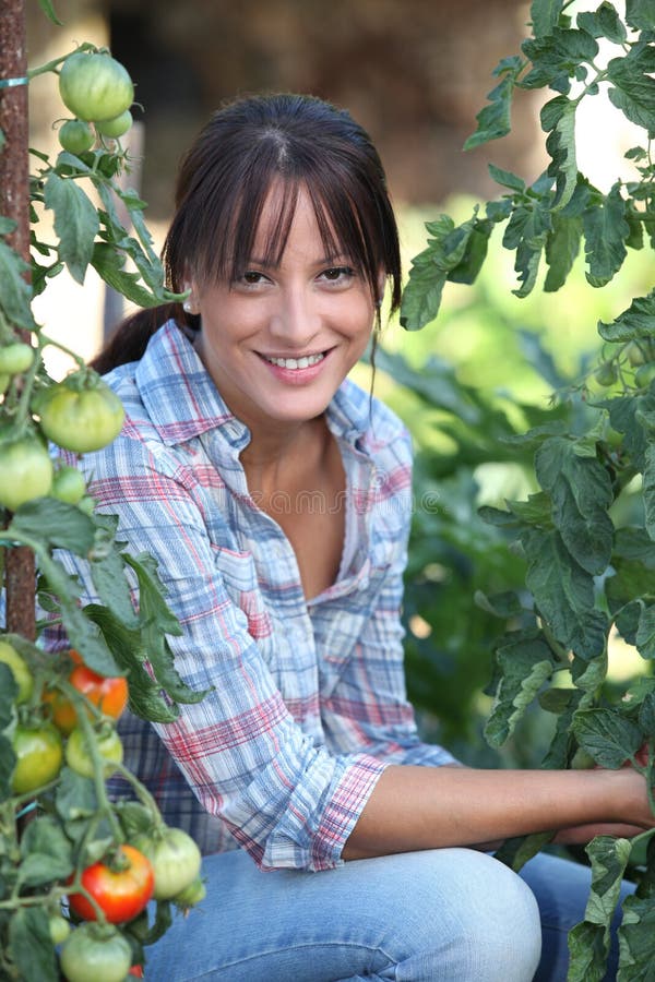 Girl next to tomatoes stock image. Image of patch, tomatoes - 28718881