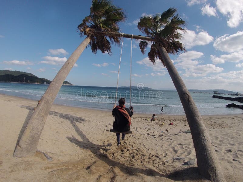 Girl on a Palm Tree Rope Swing at the Beach. Editorial Image - Image of ...