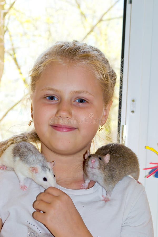 Girl with pet rat stock photo. Image of fast, sitting - 40082810