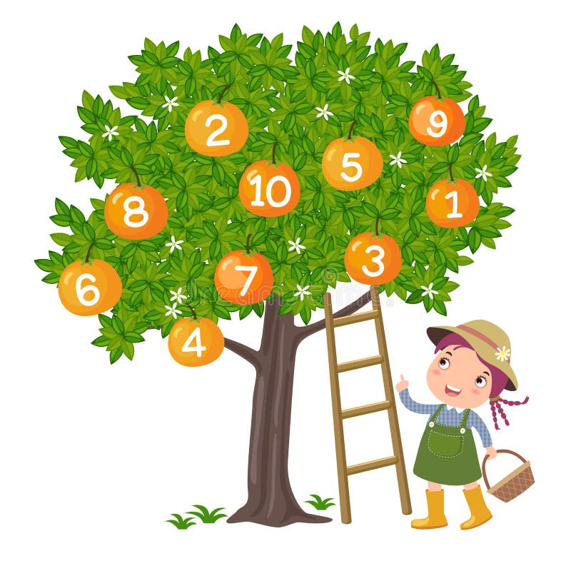 Girl picking orange stock vector. Illustration of math - 54709270
