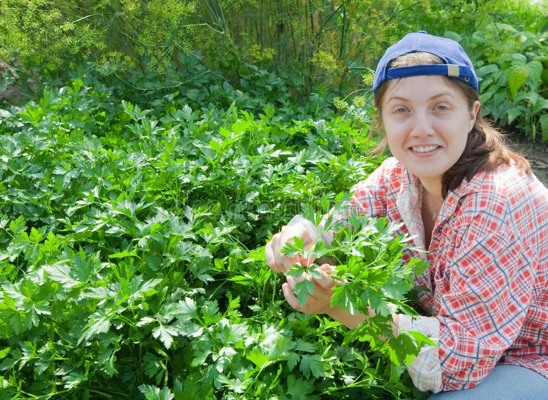 Girl Picking Parsley in Field Stock Image - Image of green, pick: 12606375
