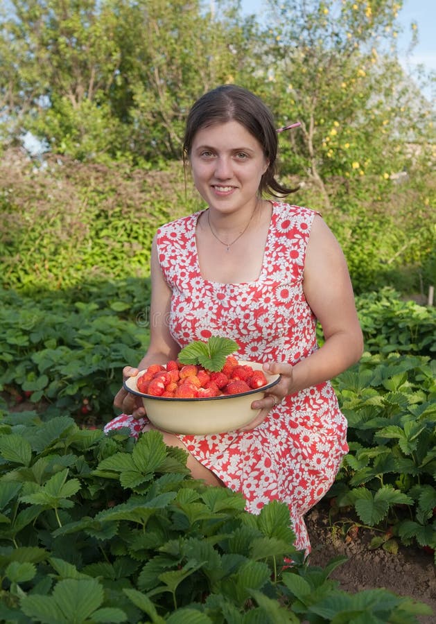 Girl Picking Strawberry in the Field Stock Photo - Image of nature ...
