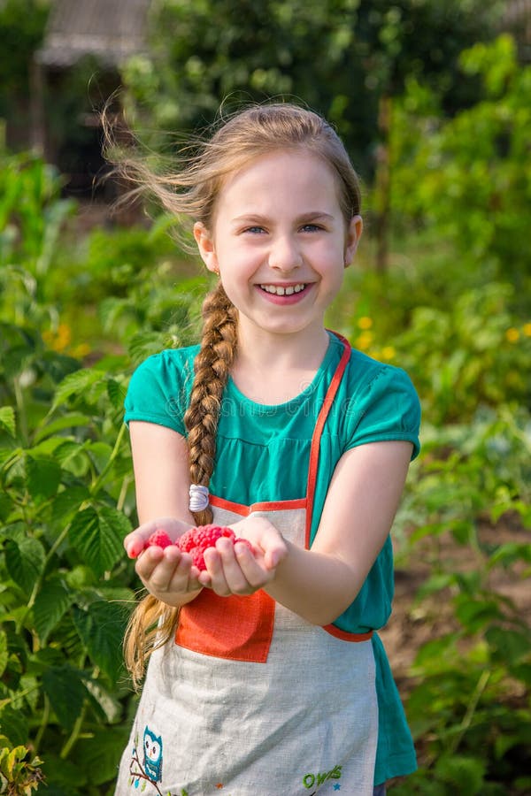 Girl Picks Raspberry in Fruit Garden into Bowl Stock Photo - Image of ...