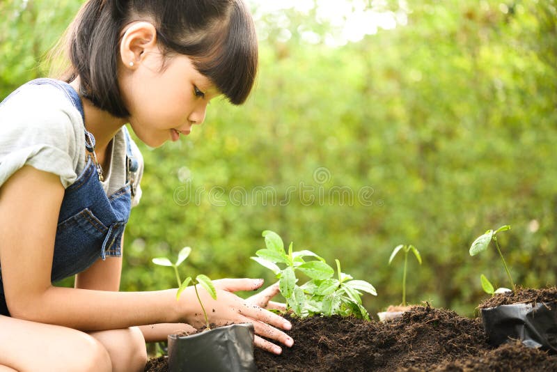 A Girl Planting Young Plants on Soil Stock Photo - Image of plant ...
