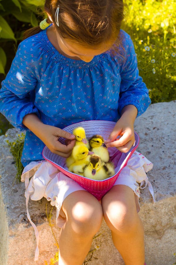 Girl Playing With Baby Duck Stock Photo - Image of girl, holding: 55724466