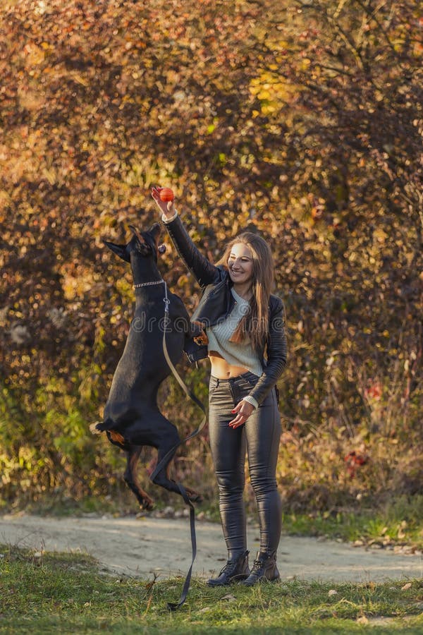 Girl Playing with Doberman Dog Stock Image - Image of animals, smiling ...