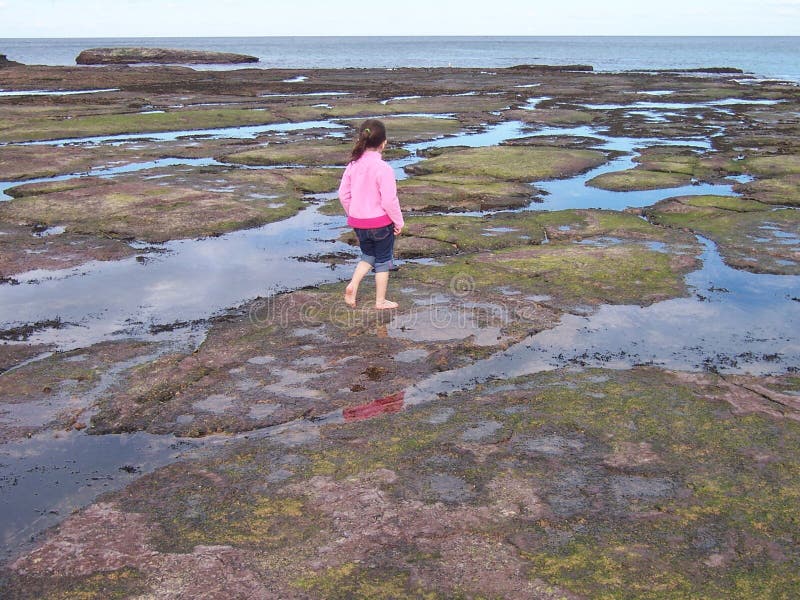 Rock Pools on Beach stock photo. Image of seaweed, sunny - 122771854
