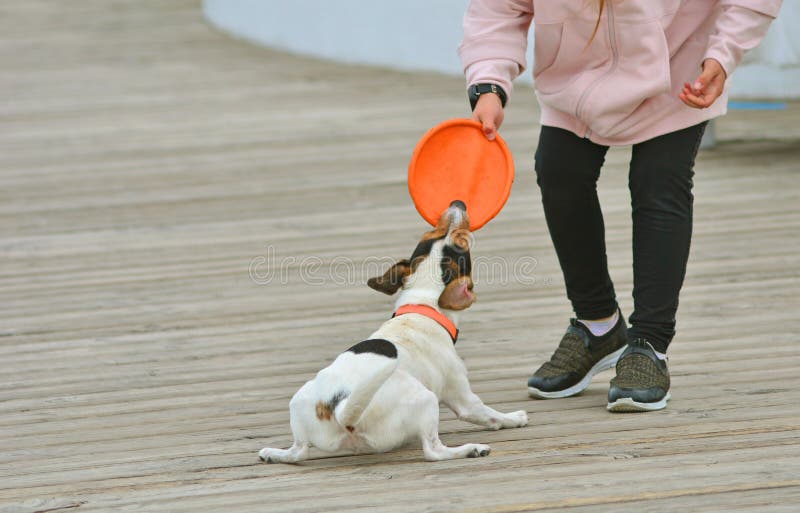 205 Bigl Stock Photos - Free & Royalty-Free Stock Photos from Dreamstime