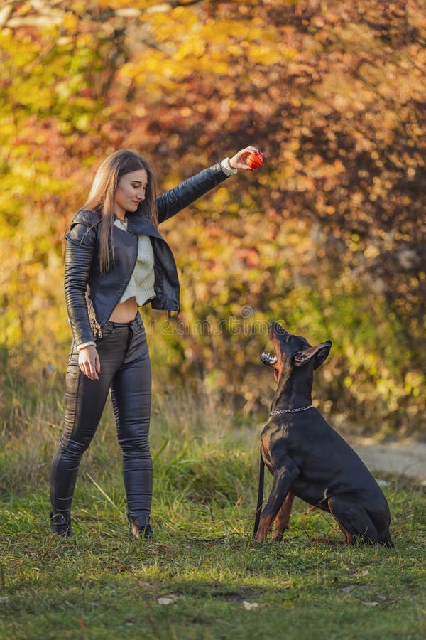 Girl Playing with Doberman Dog Stock Photo - Image of lawn, doberman ...