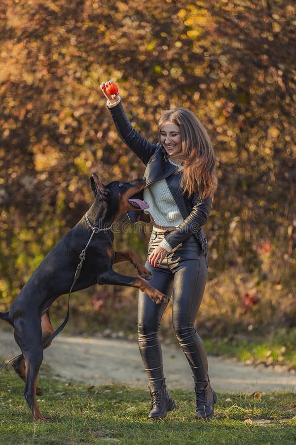 Girl Playing with Doberman Dog Stock Photo - Image of exercise, animals ...