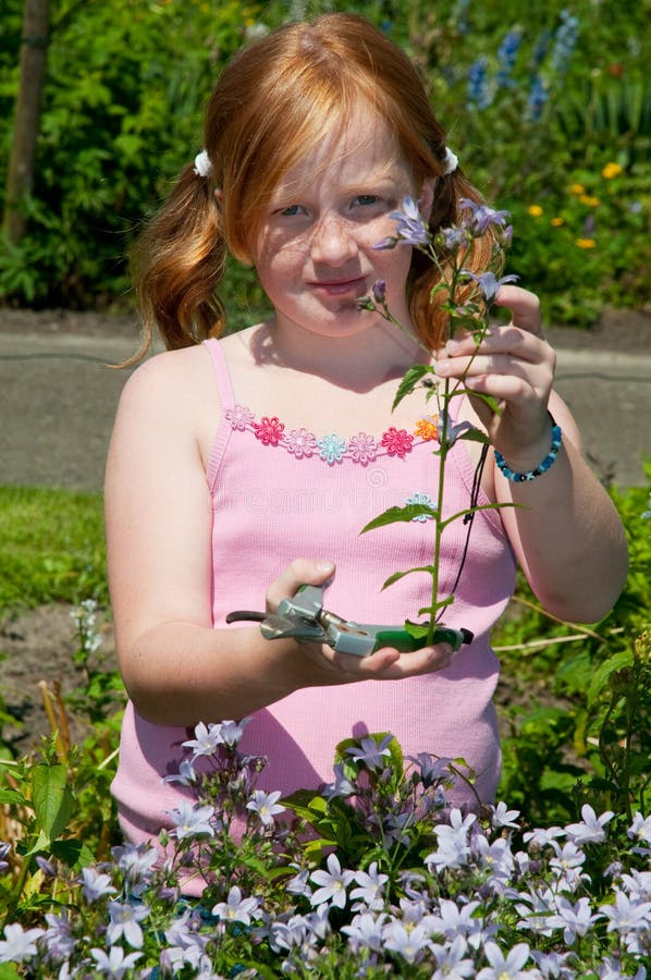 Plucking flowers stock image. Image of hair, sunny, flowers - 5908789