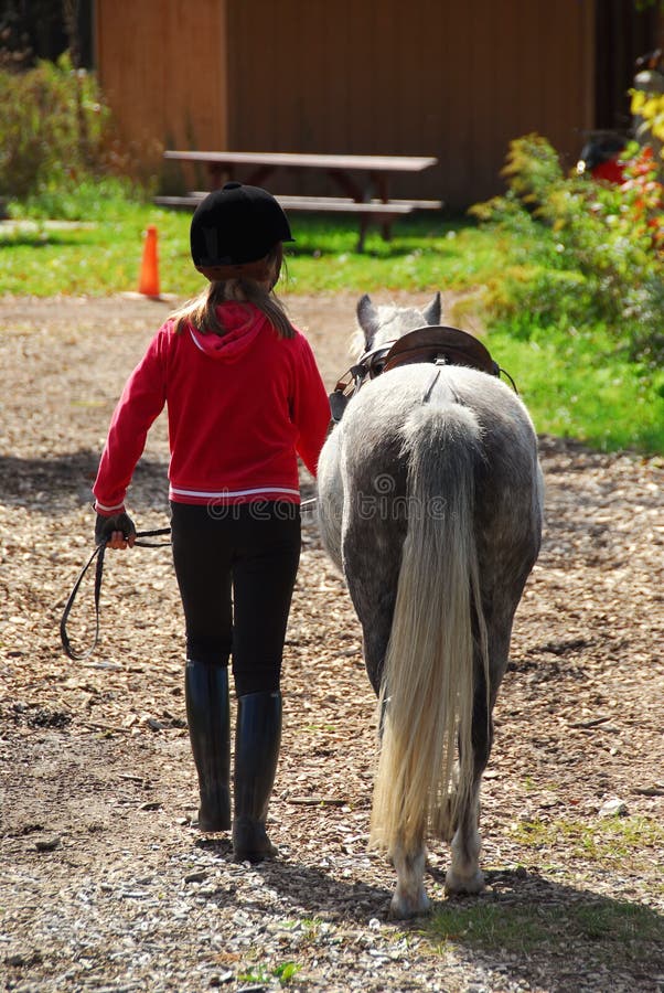 Girl walk pony stock image. Image of gray, person, equestrian - 1327921